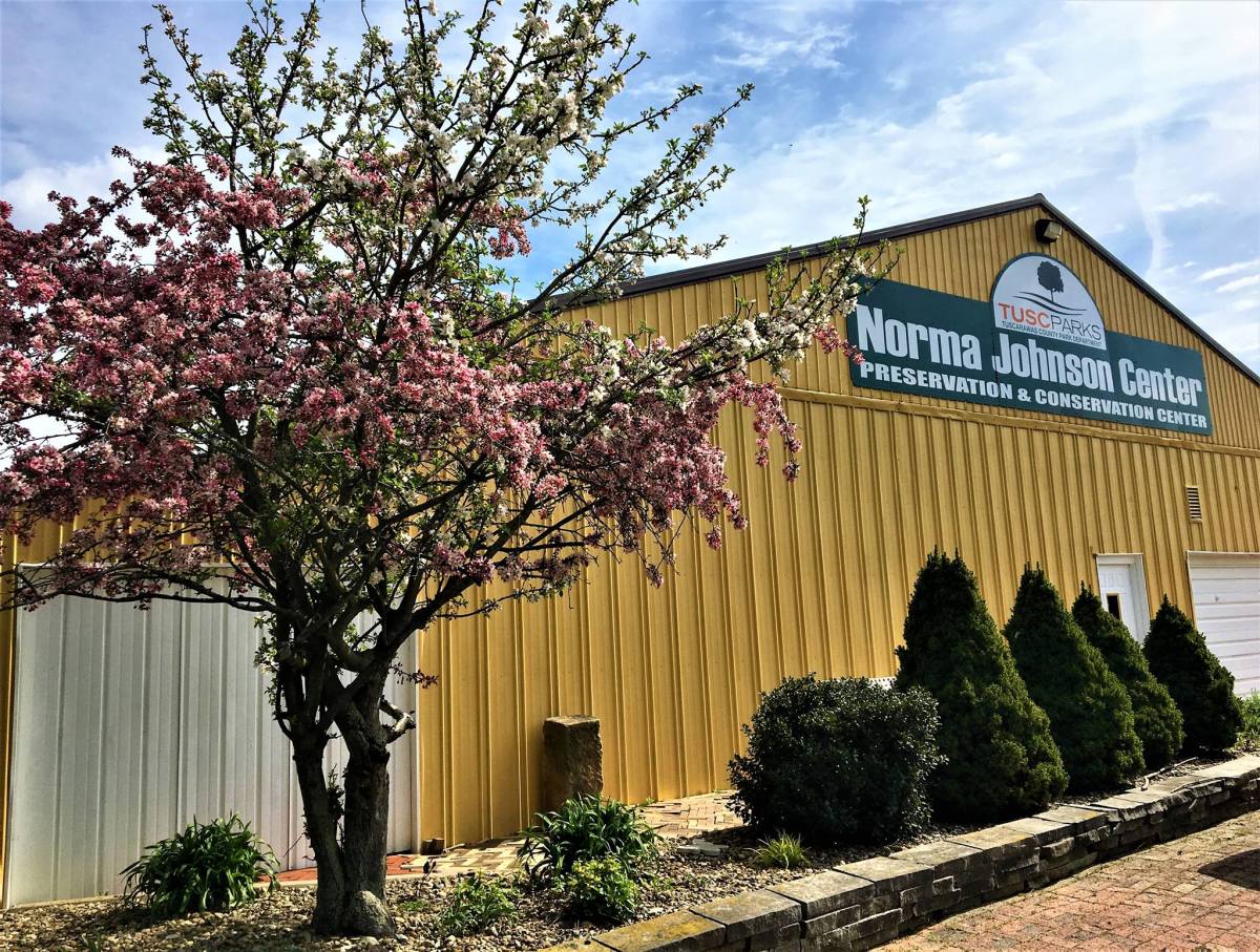 Norma Johnson Center Launches Outdoor Sanity Series | Dover Township